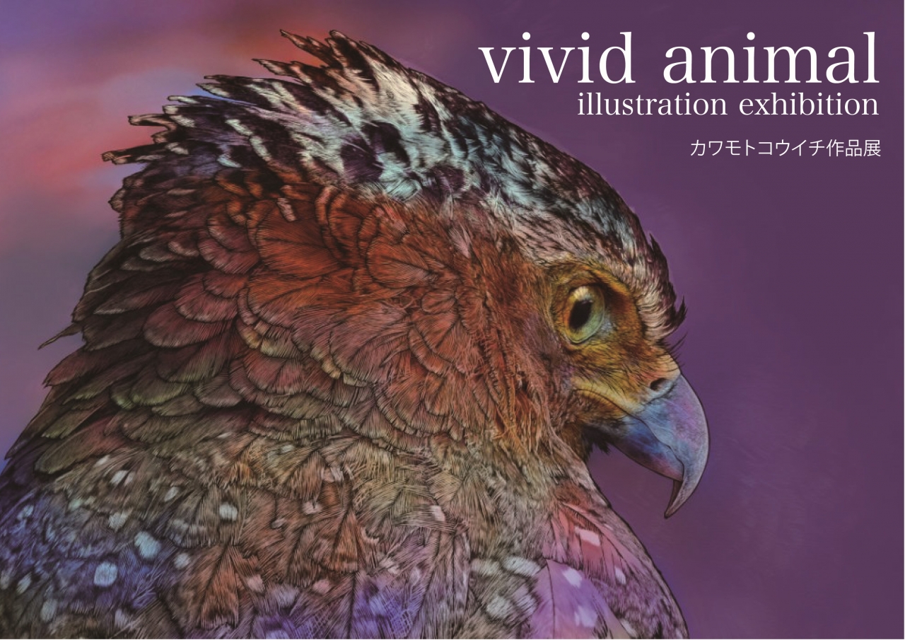 vivid animal illustration exhibition 「カワモトコウイチ作品展」｜イベント一覧｜福岡のおでかけ・イベント ...